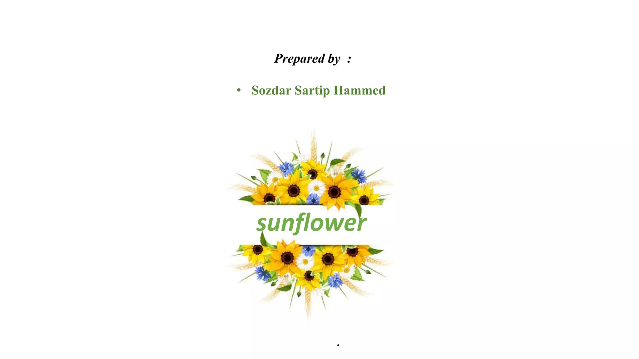 sunflower.ppt | PPTX