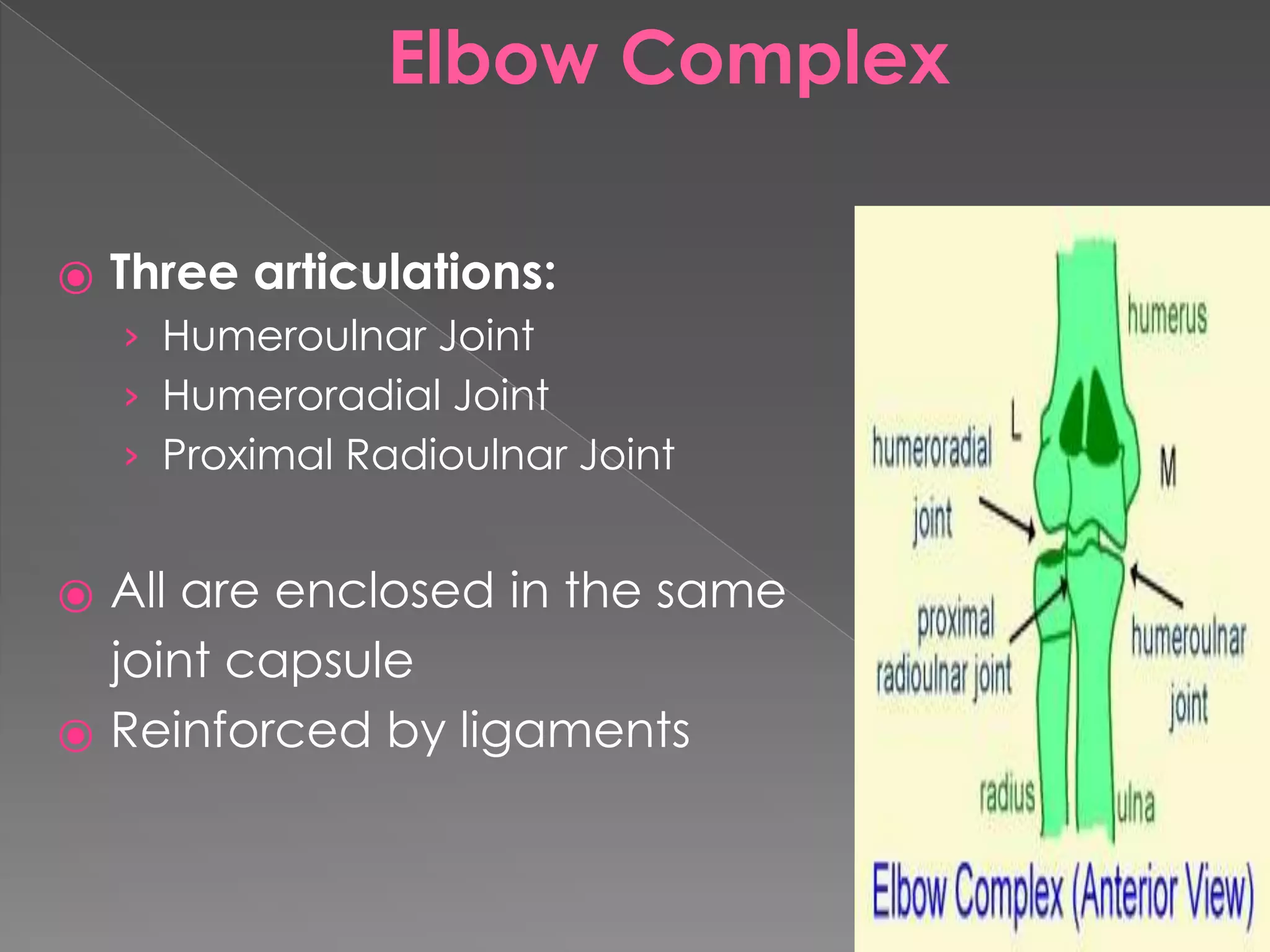 elbow_(1).pptx