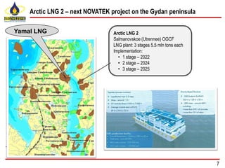 Russia_Business Potential in Russian Arctic Oil and Gas Projects | PDF