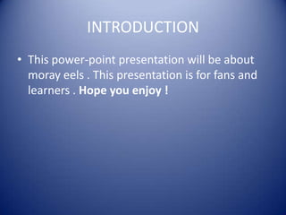 Moray Eels | PPT
