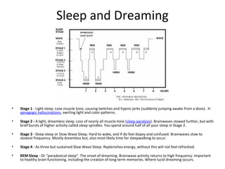 Sleep Paralysis Charts