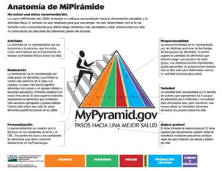 Sp my pyramid-anatomy | PPT