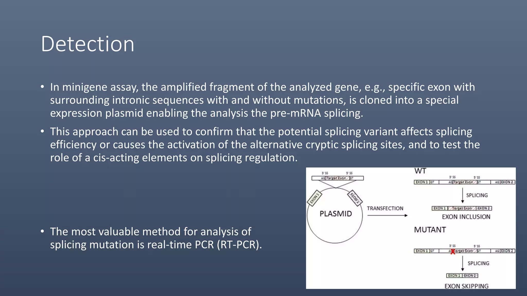 Spliceosome | PPTX