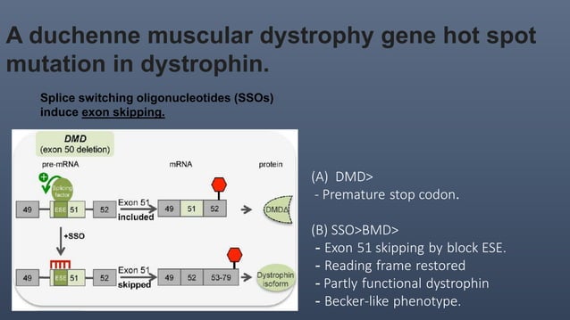 Spliceosome | PPTX