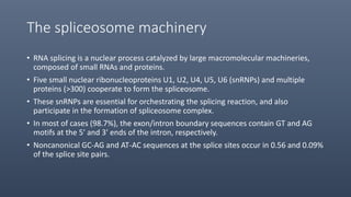 Spliceosome | PPTX