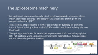 Spliceosome | PPTX