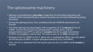 Spliceosome | PPTX