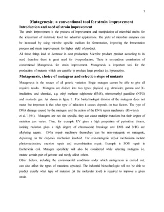 Mutagenesis; A conventional tool for strain improvement in industry | DOCX