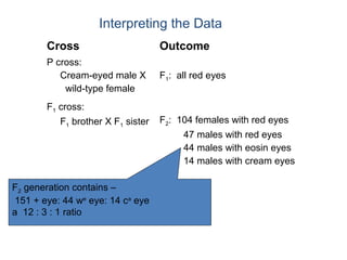 Epistatic gene interaction by BIOTECHNOLOGY CIIT ABBOTTABAD | PPT