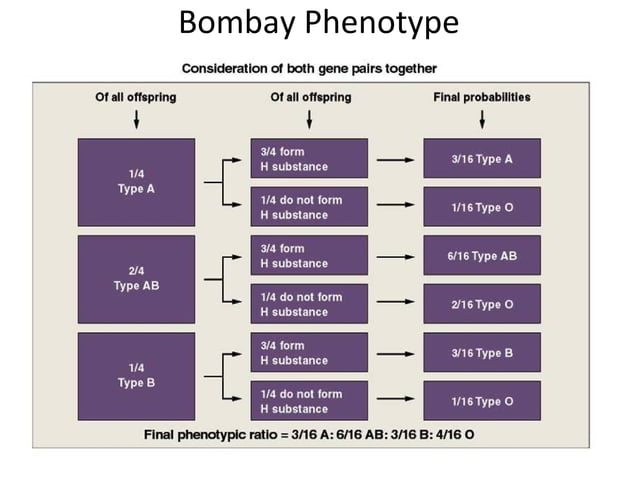 Epistatic gene interaction by BIOTECHNOLOGY CIIT ABBOTTABAD | PPT