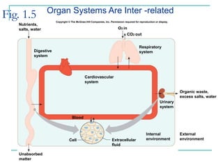 Sp2011-Chapter1.ppt