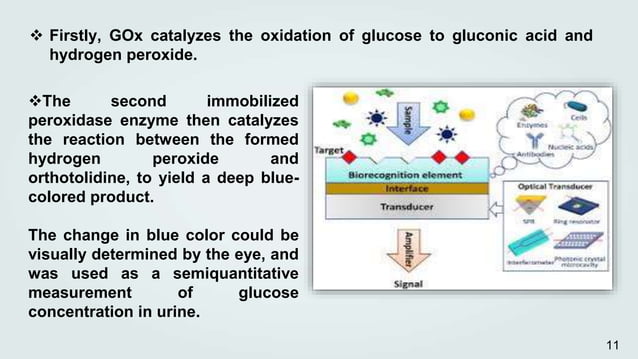 Enzyme based Biosensors | PPTX