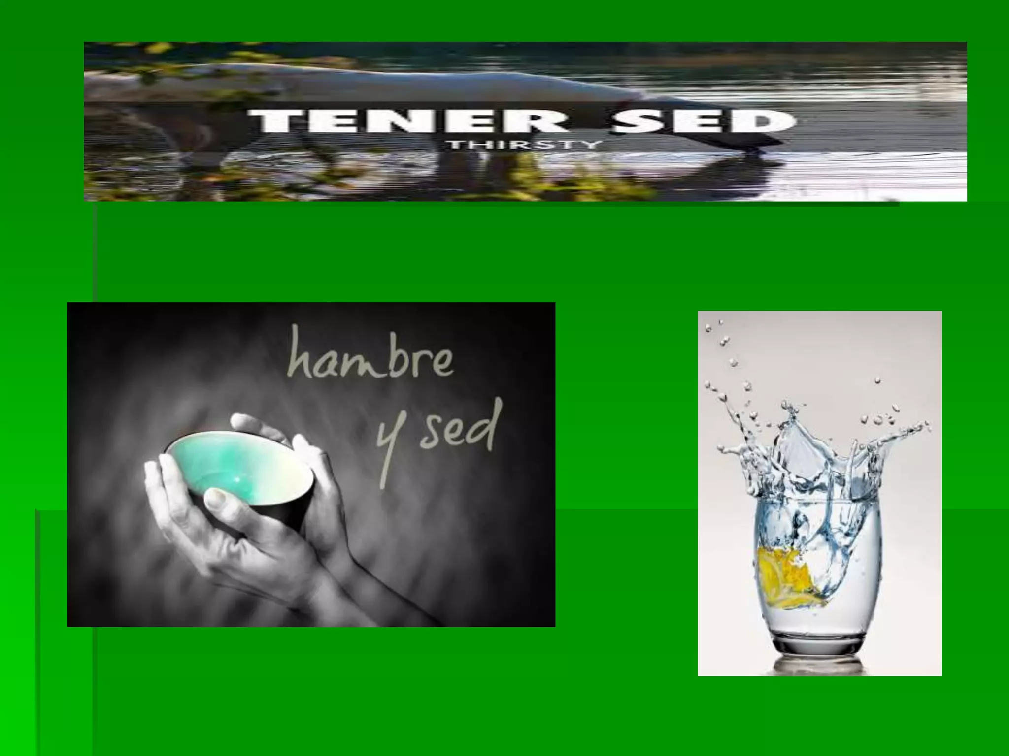 SPA1_Tener Idioms.ppt