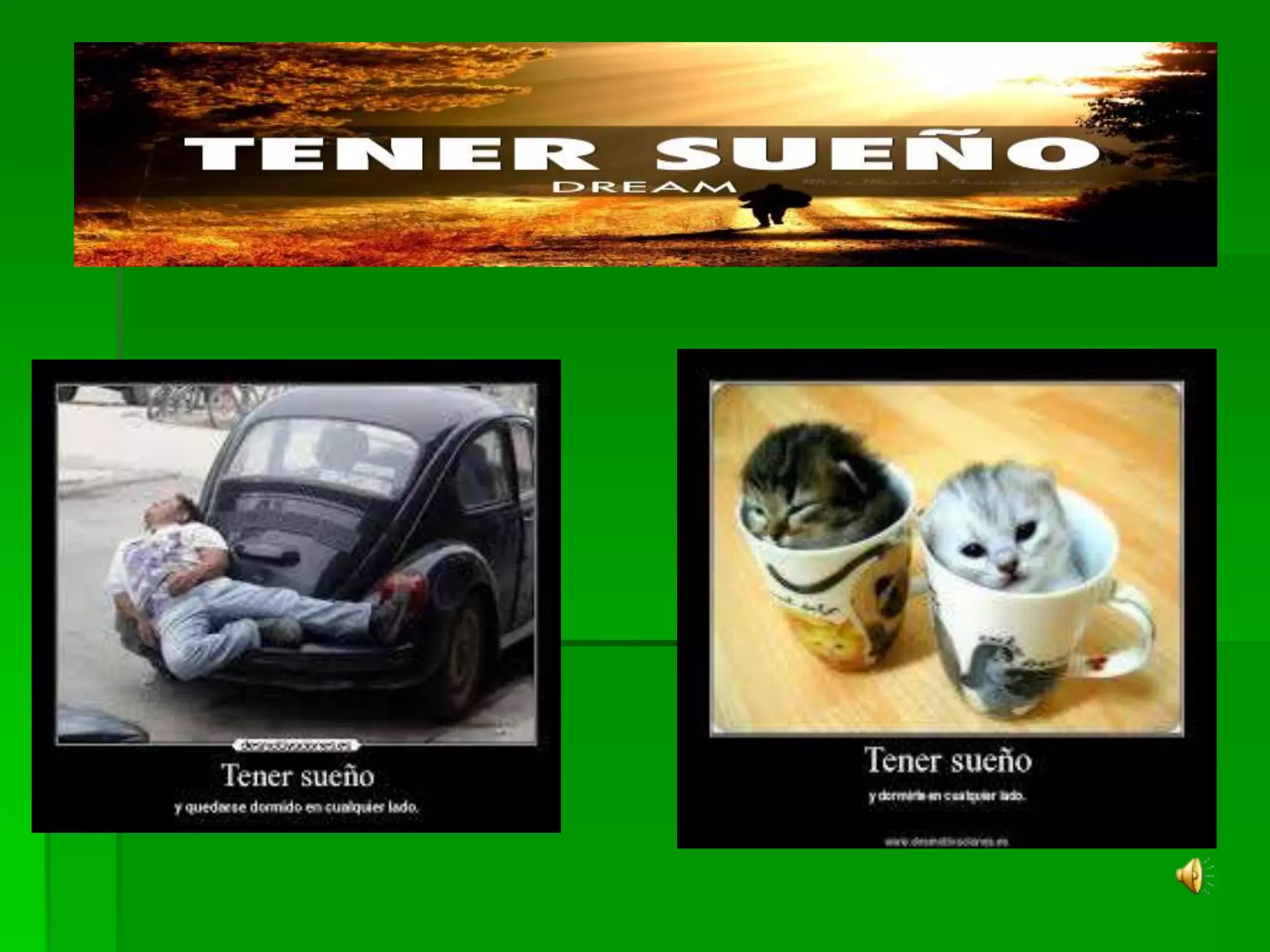 SPA1_Tener Idioms.ppt