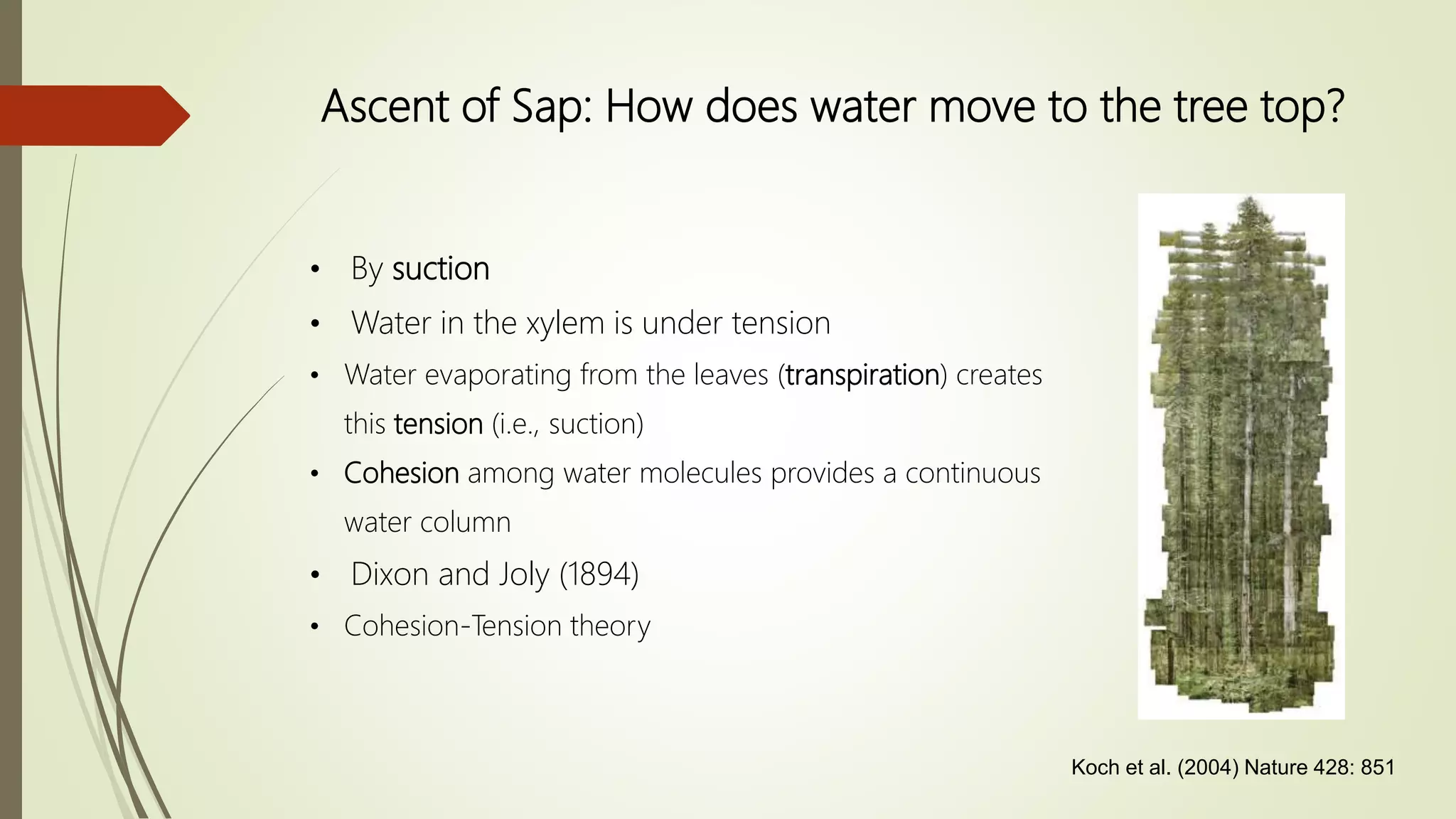 Soil Plant Atmosphere Continuum (SPAC) | PPTX