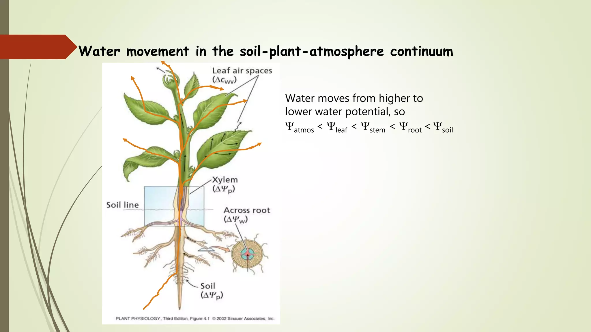 Soil Plant Atmosphere Continuum (SPAC) | PPTX