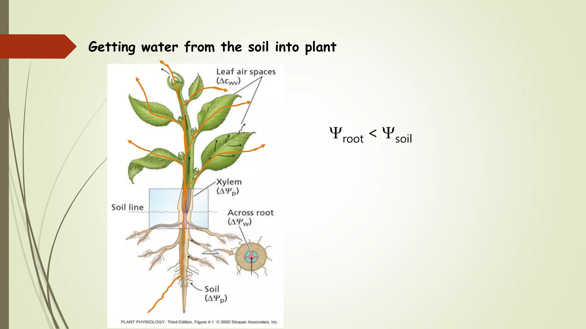 Soil Plant Atmosphere Continuum (SPAC) | PPTX