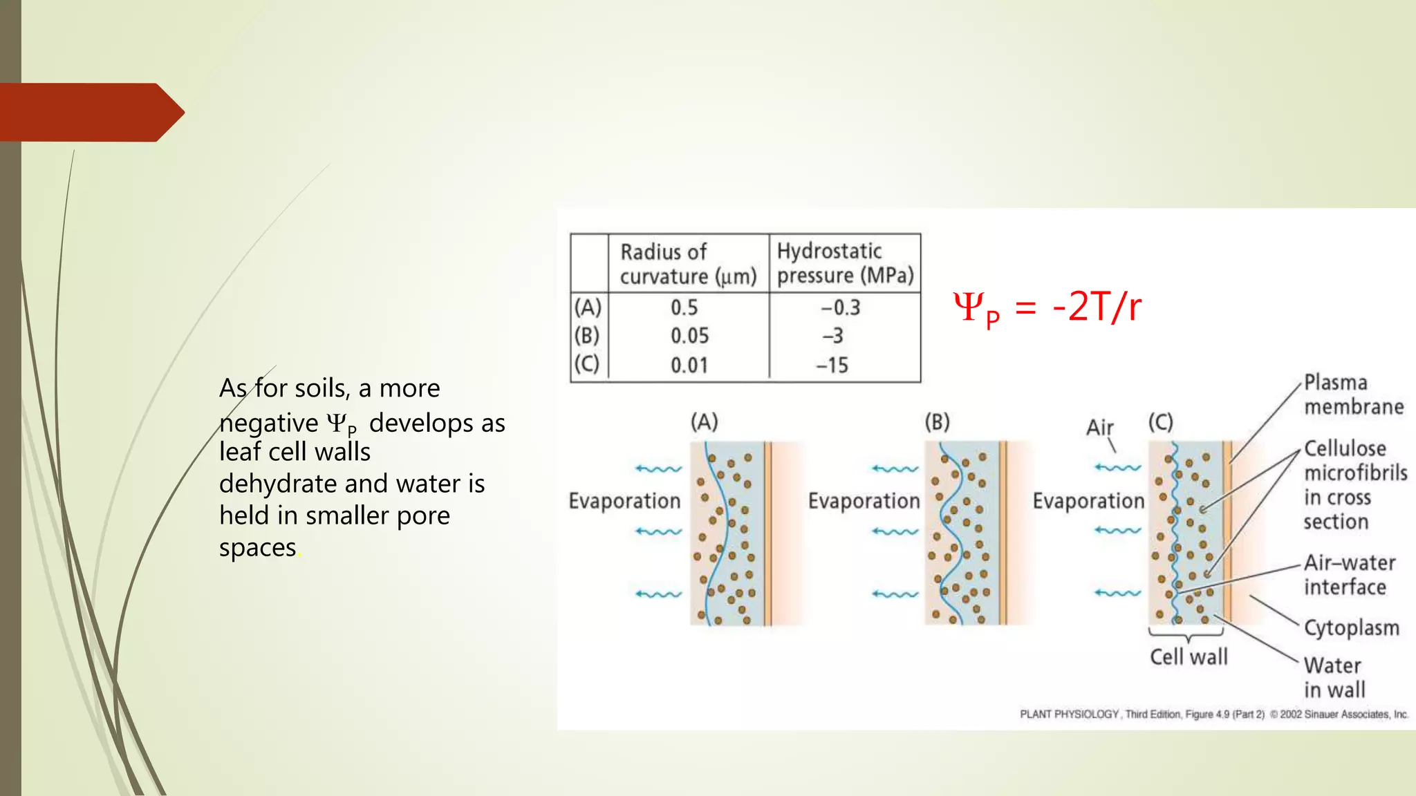 Soil Plant Atmosphere Continuum (SPAC) | PPTX