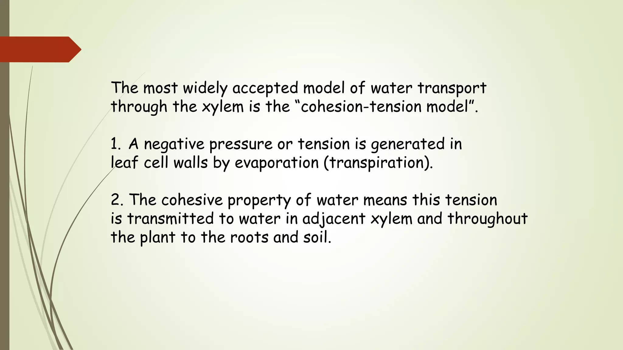 Soil Plant Atmosphere Continuum (SPAC) | PPTX