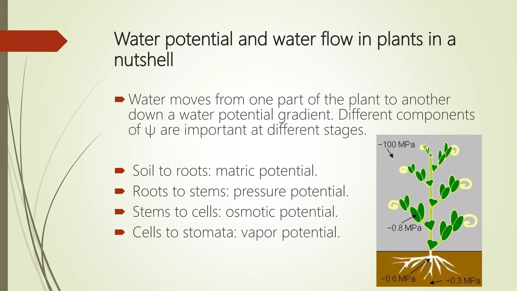 Soil Plant Atmosphere Continuum (SPAC) | PPTX