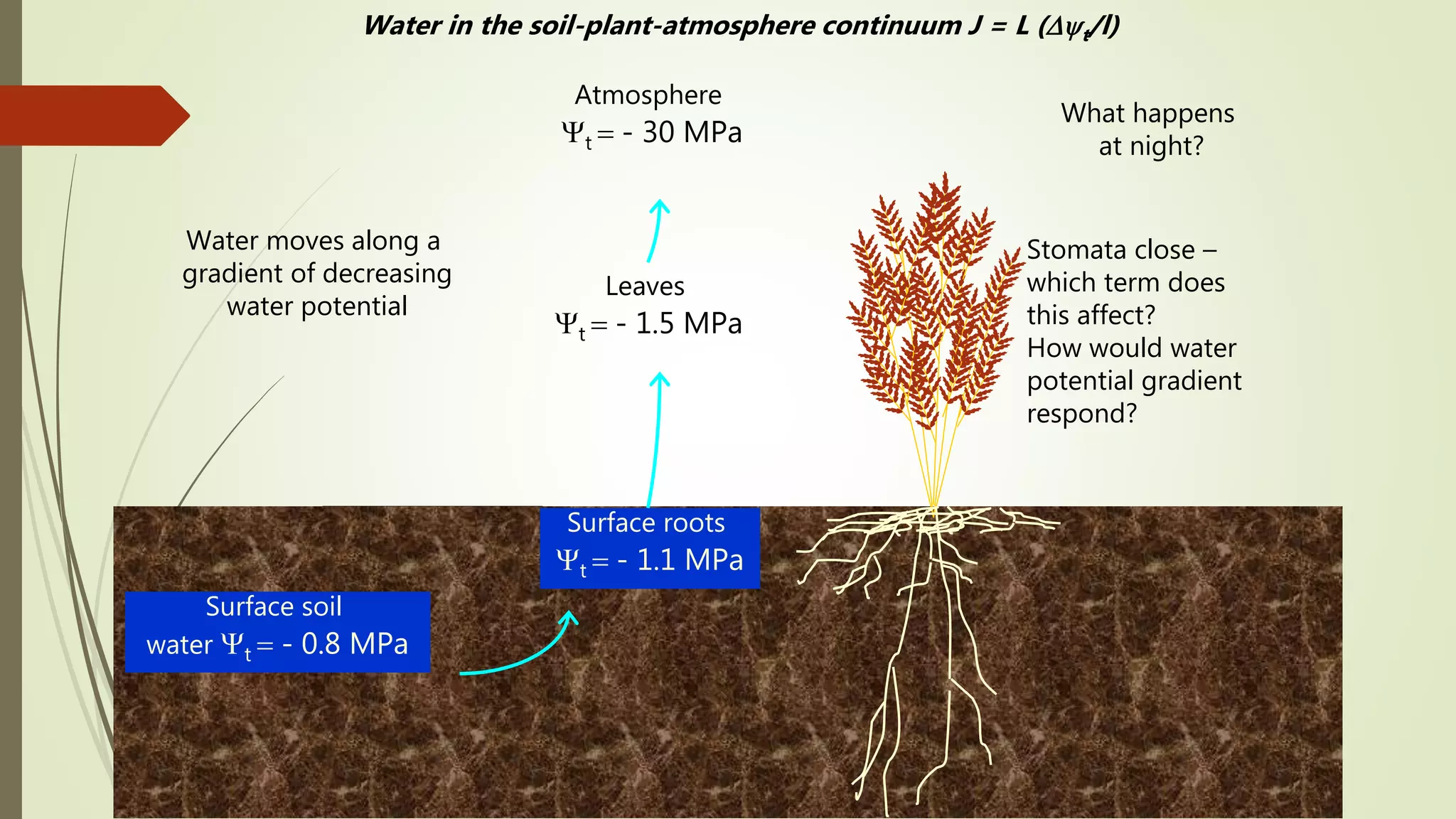 Soil Plant Atmosphere Continuum (SPAC) | PPTX