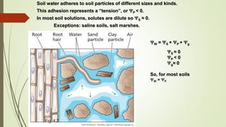 Soil Plant Atmosphere Continuum (SPAC) | PPTX