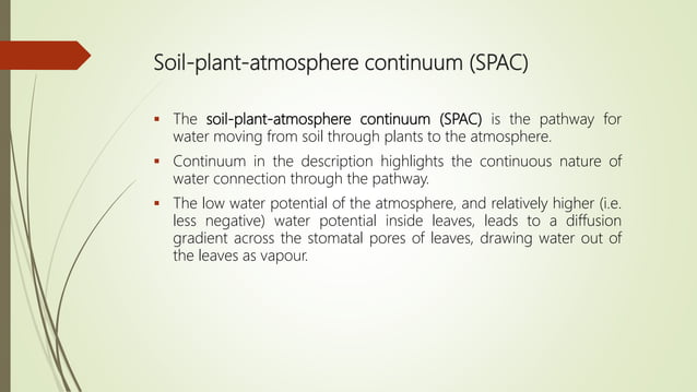 Soil Plant Atmosphere Continuum (SPAC) | PPTX | Gardening | Home & Garden