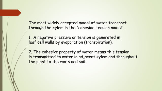 Soil Plant Atmosphere Continuum (SPAC) | PPTX | Gardening | Home & Garden