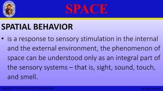 SPACE 1.pptx