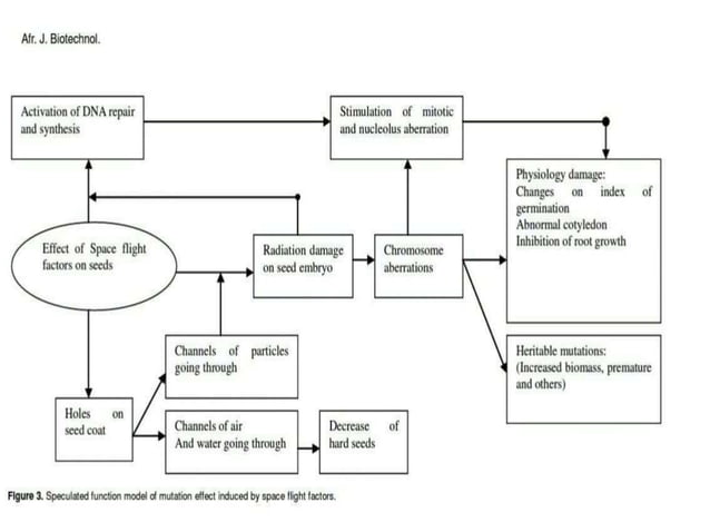 Crop improvement / Space breeding | PPTX | Gardening | Home & Garden