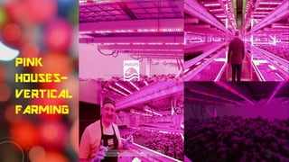 Space colonization and agriculture by rishav ray | PDF