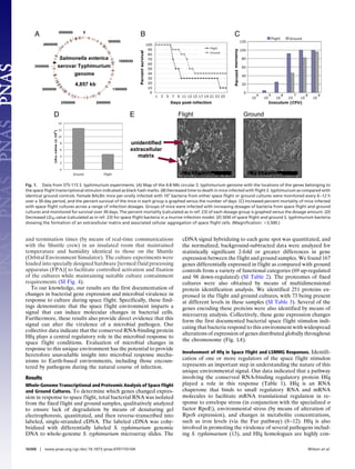Space flight alters bacteria | PDF | Biotech and Biomedical Industry ...