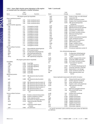 Space flight alters bacteria | PDF | Biotech and Biomedical Industry ...