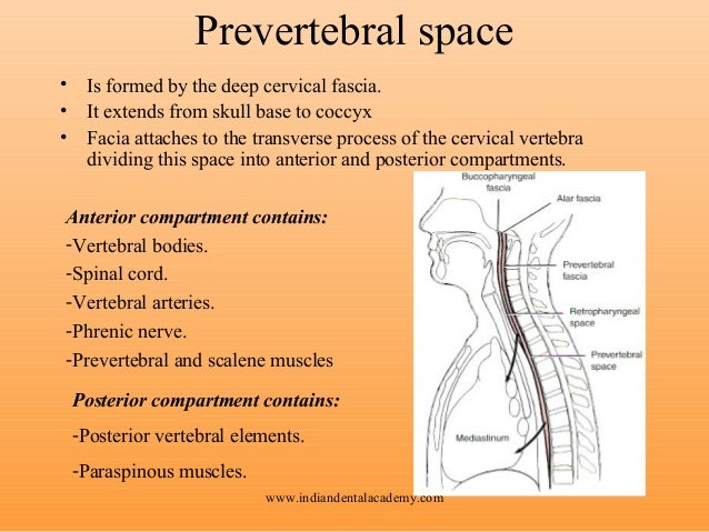 Space infection 2 /certified fixed orthodontic courses by Indian dent…