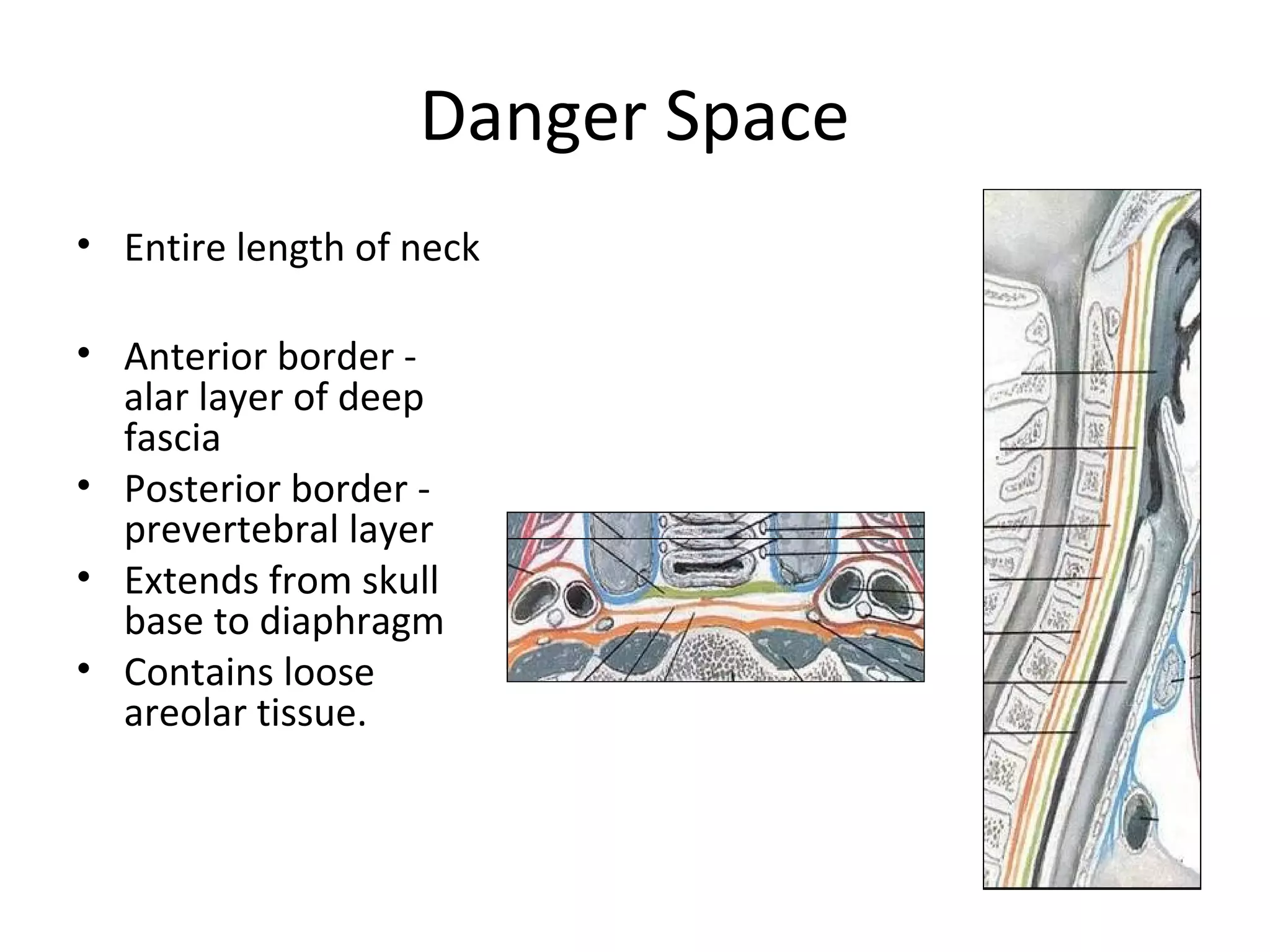 Space infection | PPT