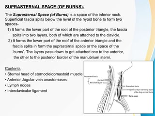 SPACE INFECTION.pptx