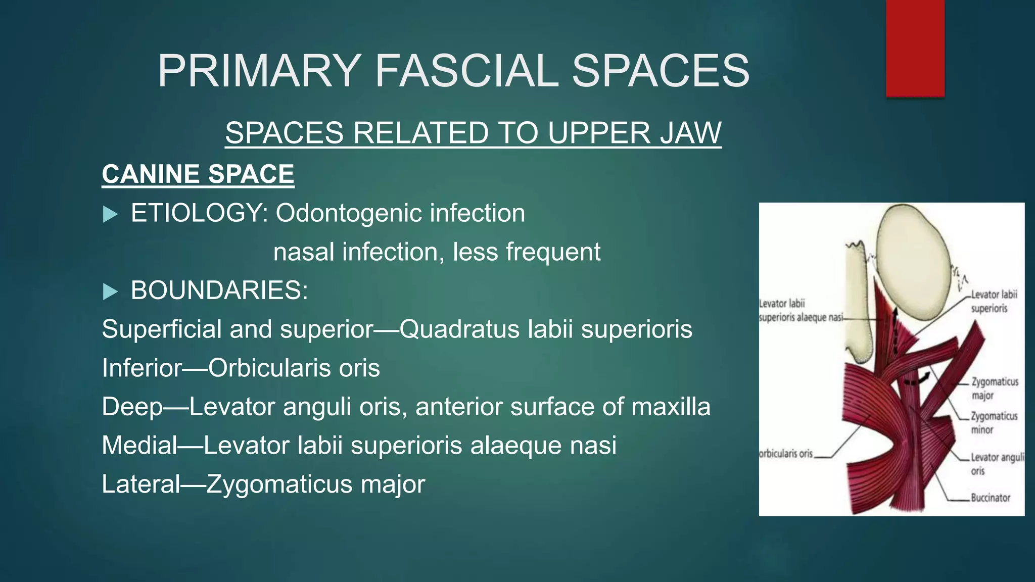 space infection.pptx