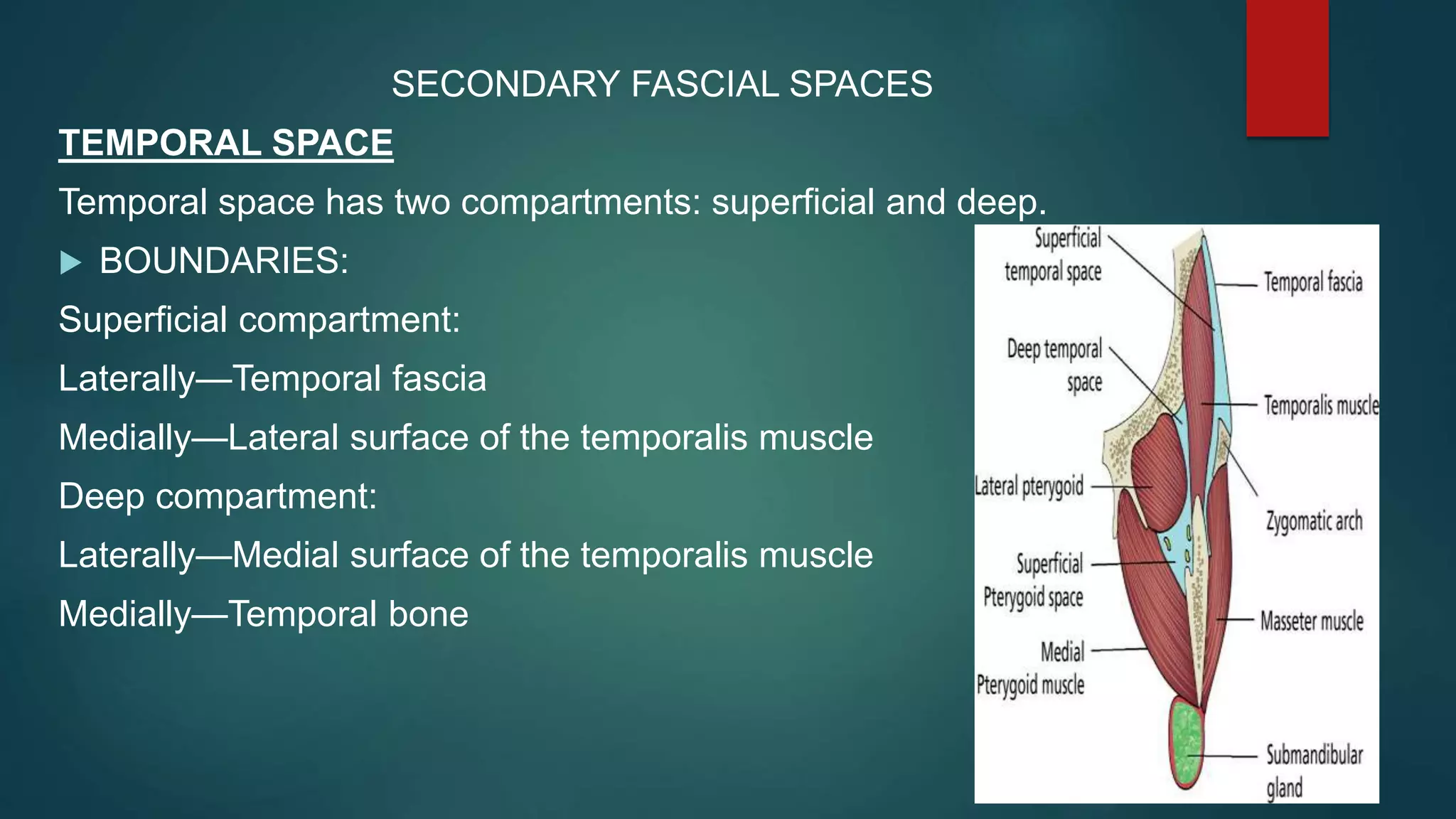 space infection.pptx
