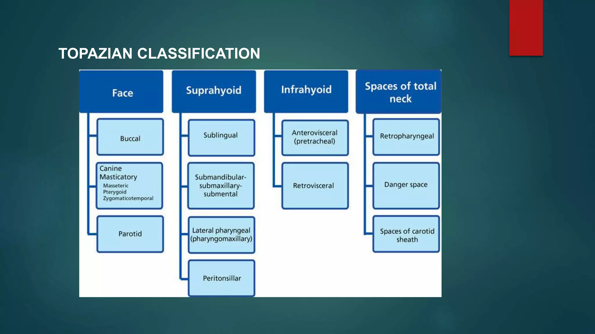 space infection.pptx