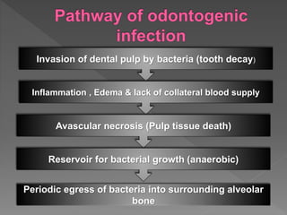 Space infection4567 | PPTX