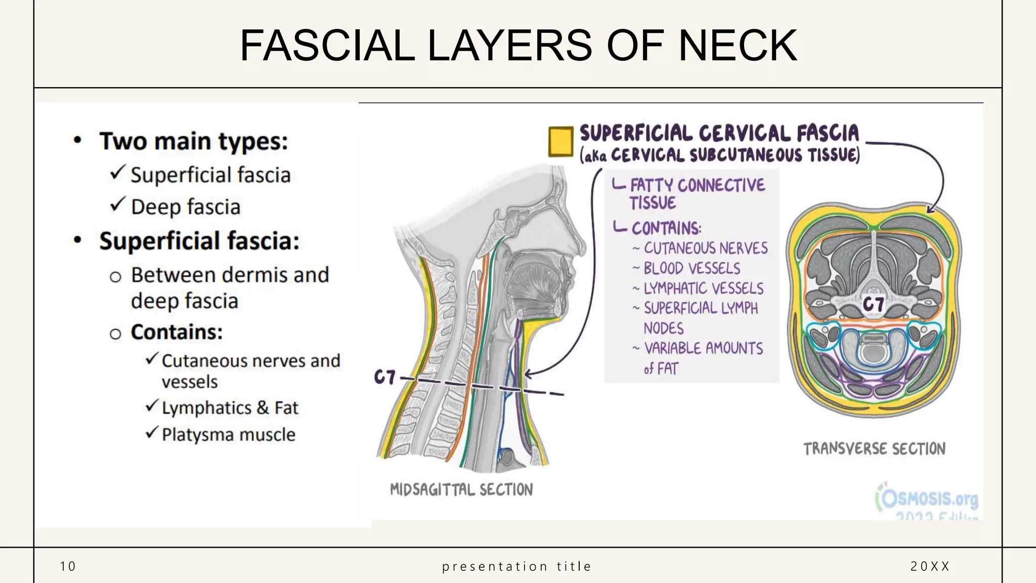Fascial SPACE INFECTION | PPTX
