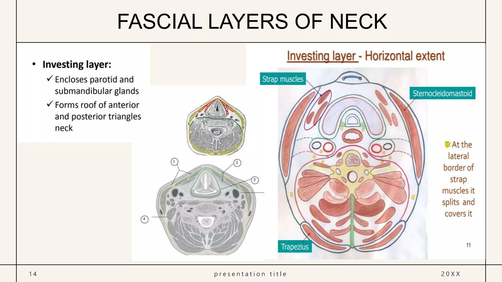 Fascial SPACE INFECTION | PPTX
