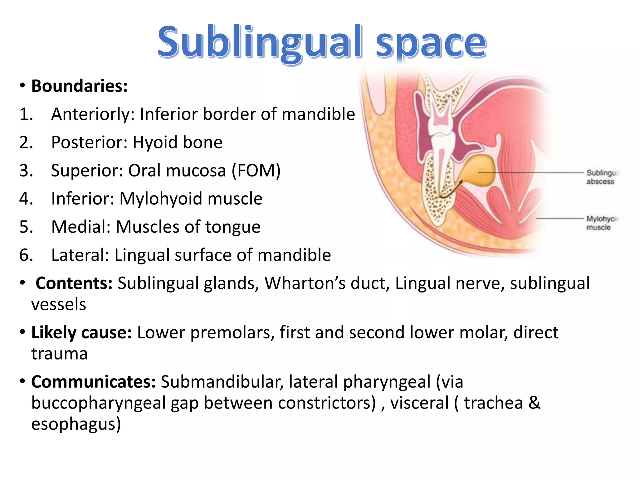 Maxillofacial space infections | PPTX