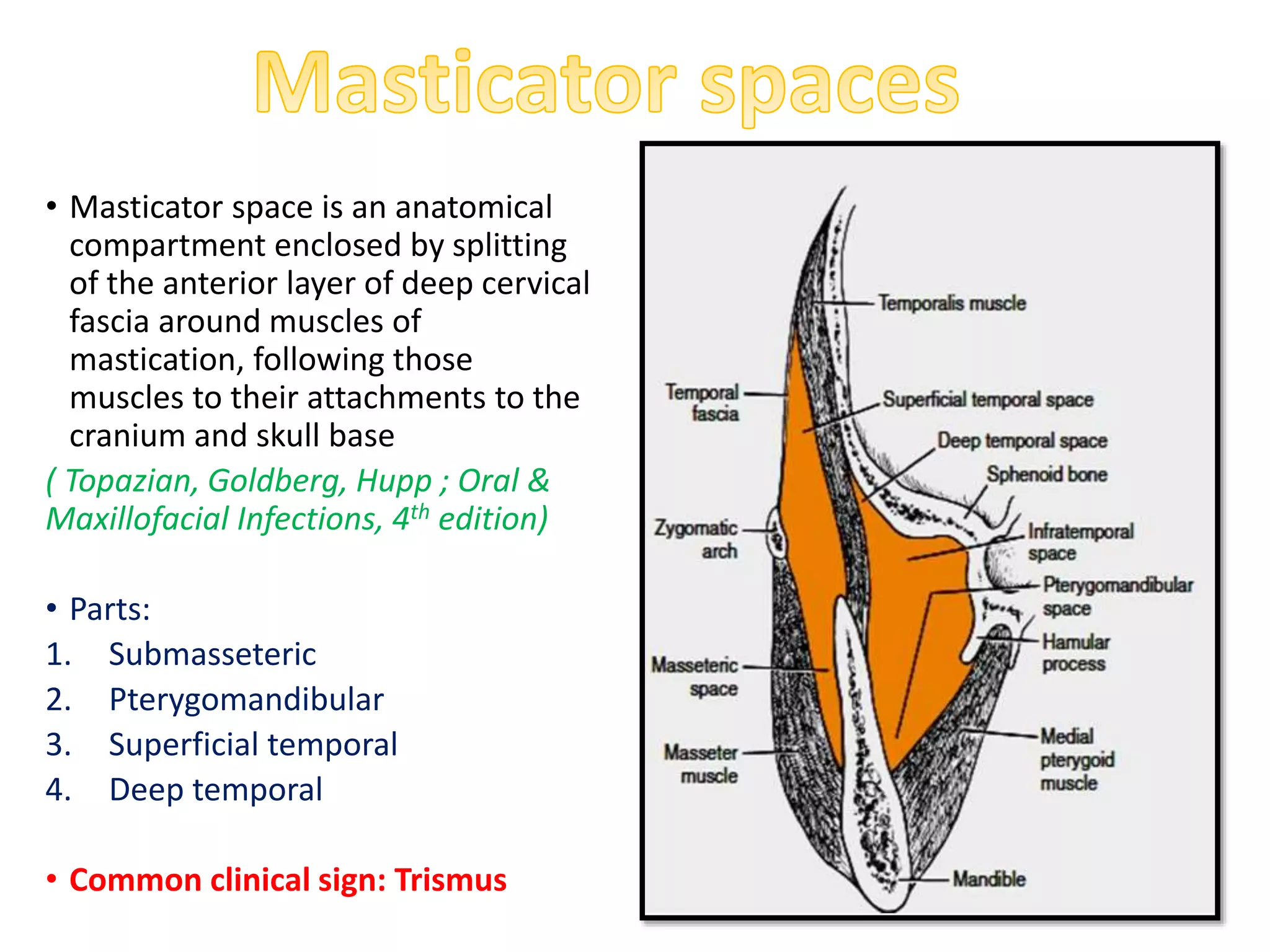 Maxillofacial space infections | PPTX