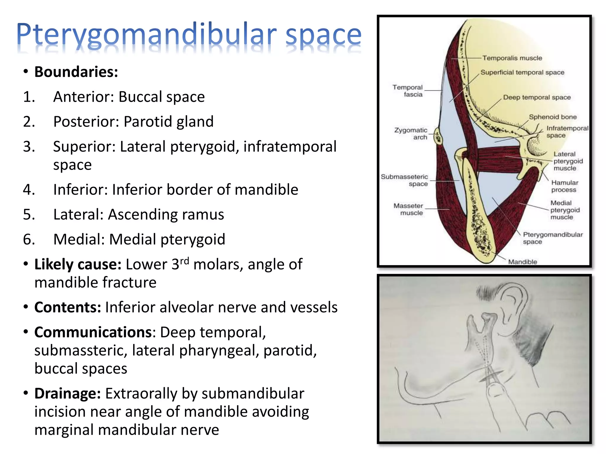 Maxillofacial space infections | PPTX