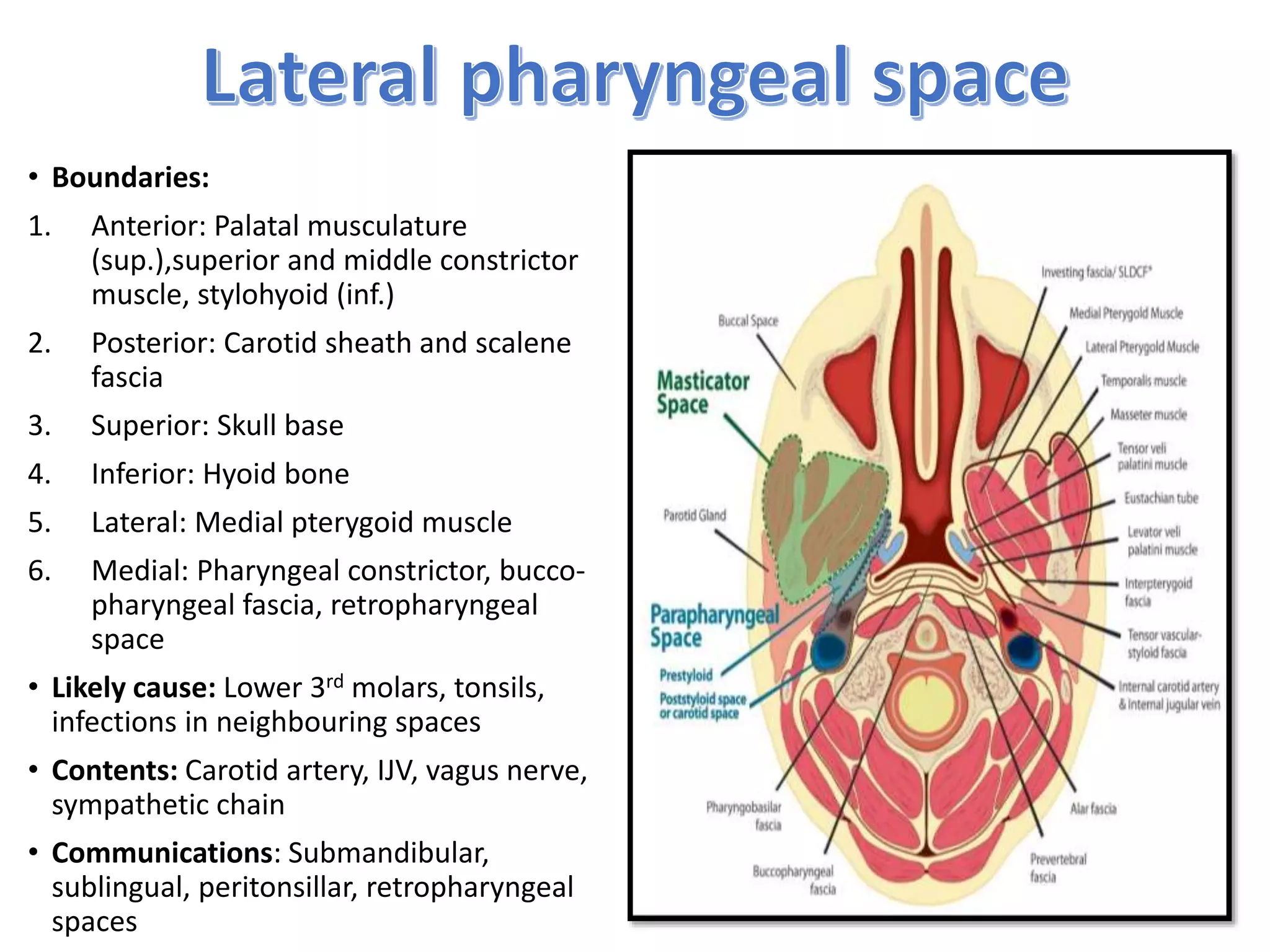 Maxillofacial space infections | PPTX