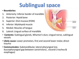 Sublingual Space