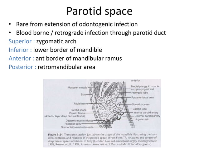 SPACE INFECTIONS | PPTX