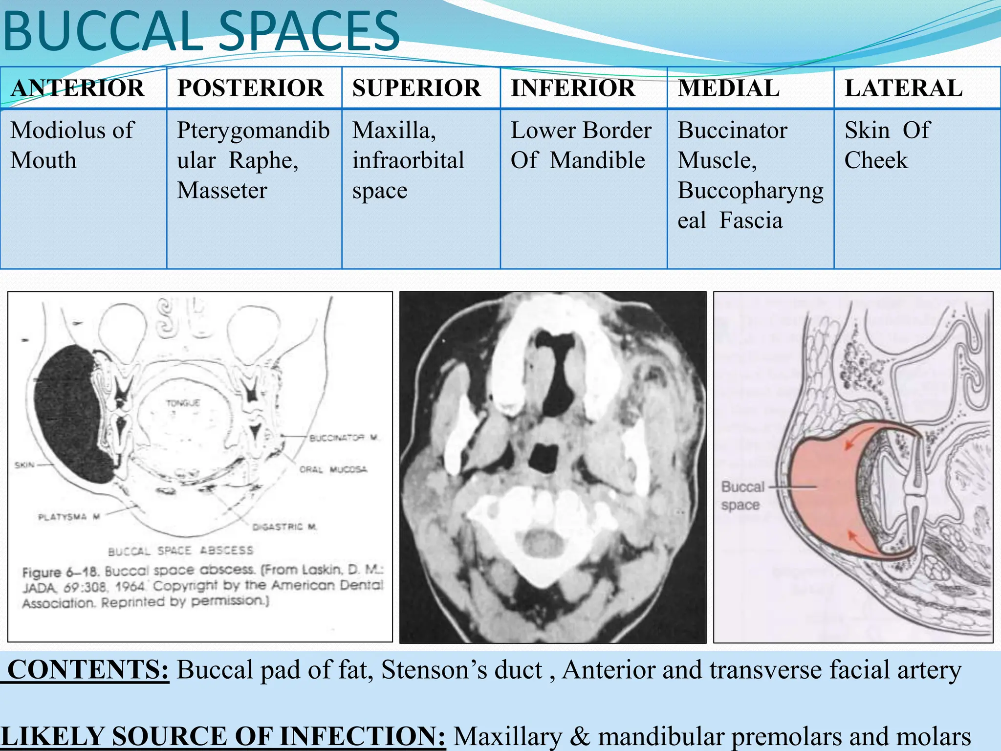 SPACE INFECTIONS-TYPES, DIAGNSOSIS AND MANAGEMENT | PPTX