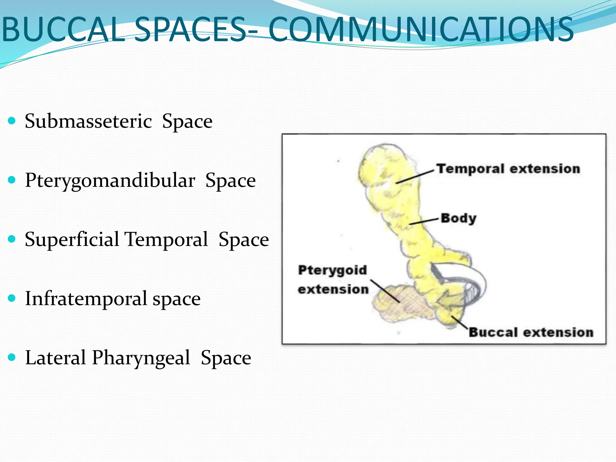 SPACE INFECTIONS-TYPES, DIAGNSOSIS AND MANAGEMENT | PPTX